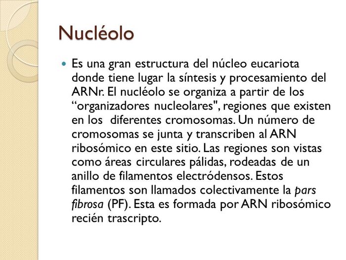 NUCLEOLO :: La Célula